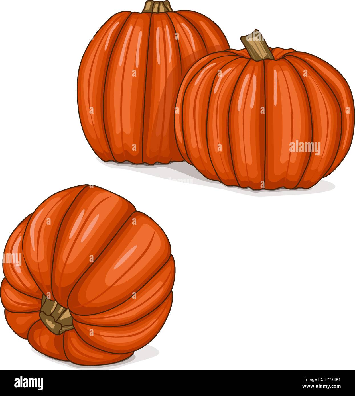 Group of Big Max pumpkin. Winter squash. Cucurbita maxima. Vegetables ...