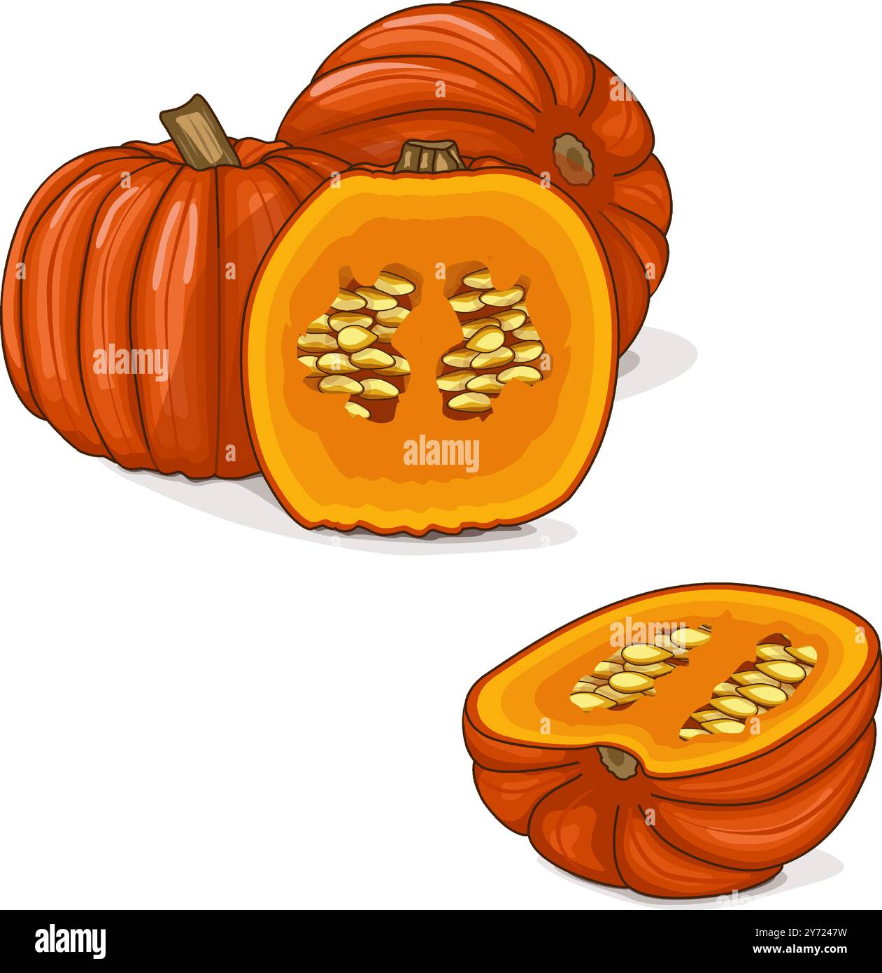 Whole and chopped Big Max pumpkin. Winter squash. Cucurbita maxima ...