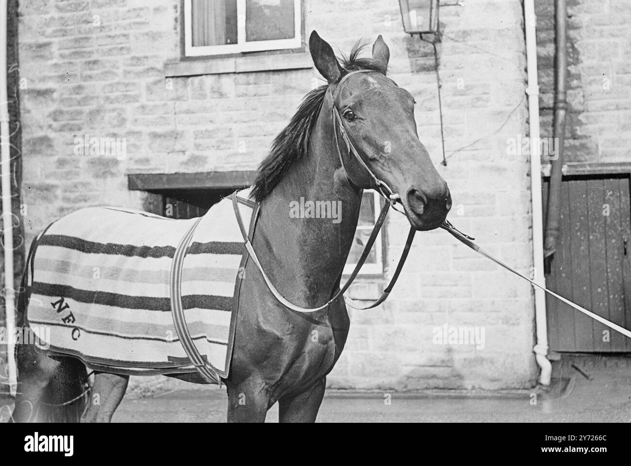 "Sheila's Cottage" Has National Ambitions. That he might one day run a ...