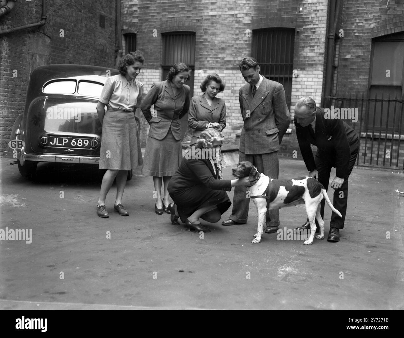 Judy , the POW dog , says goodbye to friends before leaving for ...