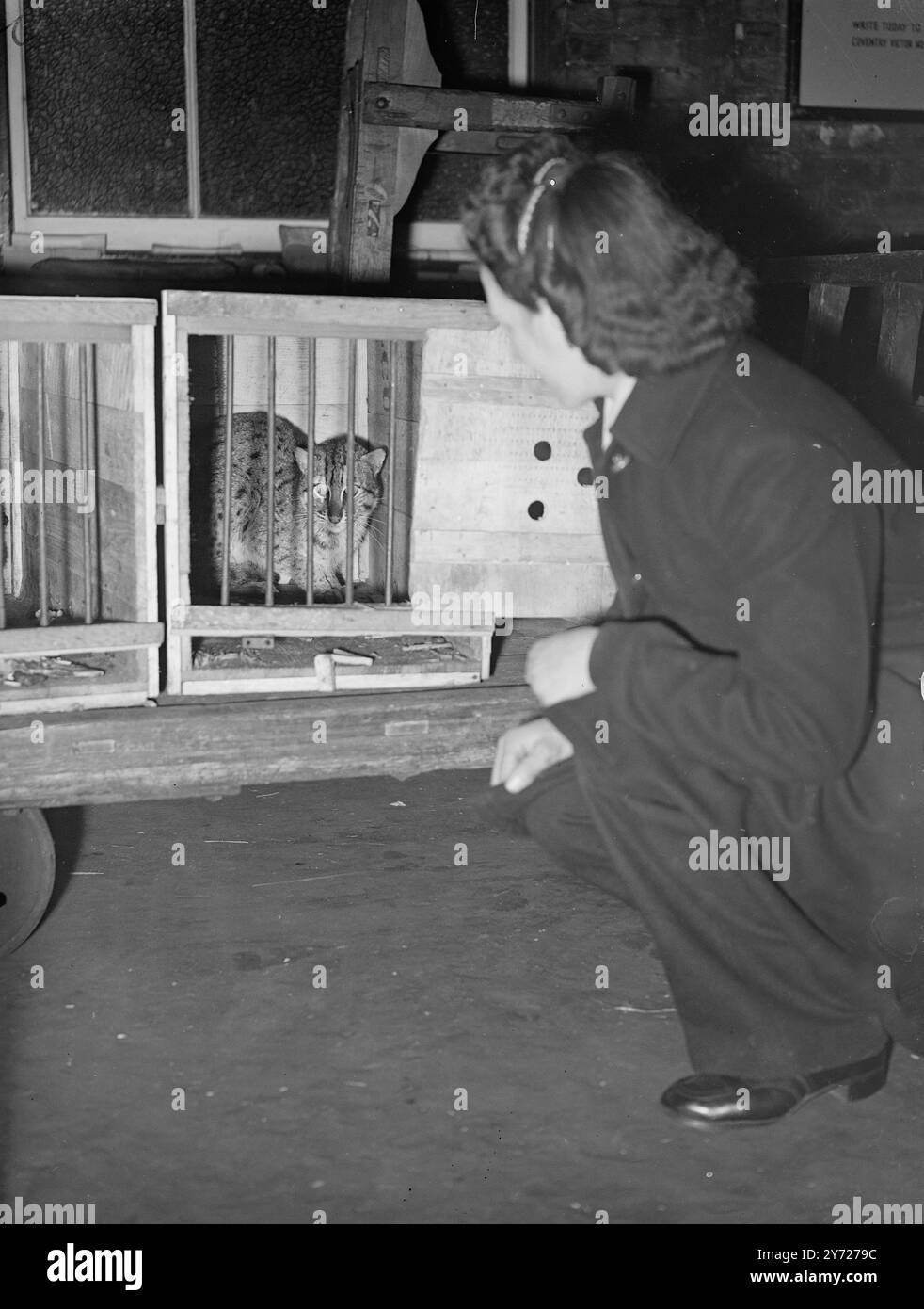 Hull zoo hi-res stock photography and images - Alamy