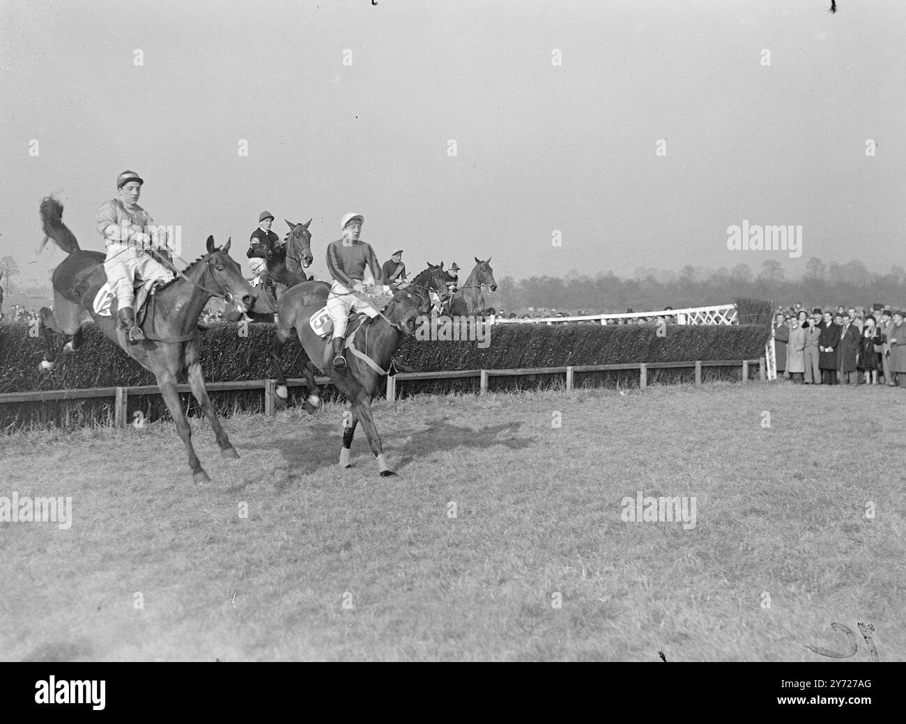 6 packets Black and White Stock Photos & Images - Alamy