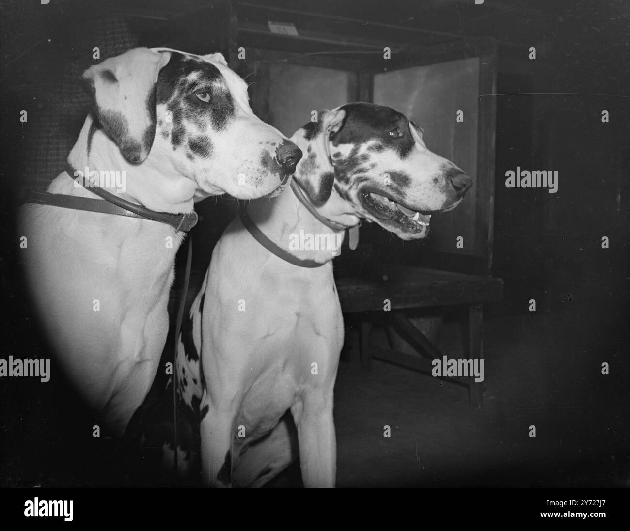 Up to the skies Black and White Stock Photos & Images - Alamy