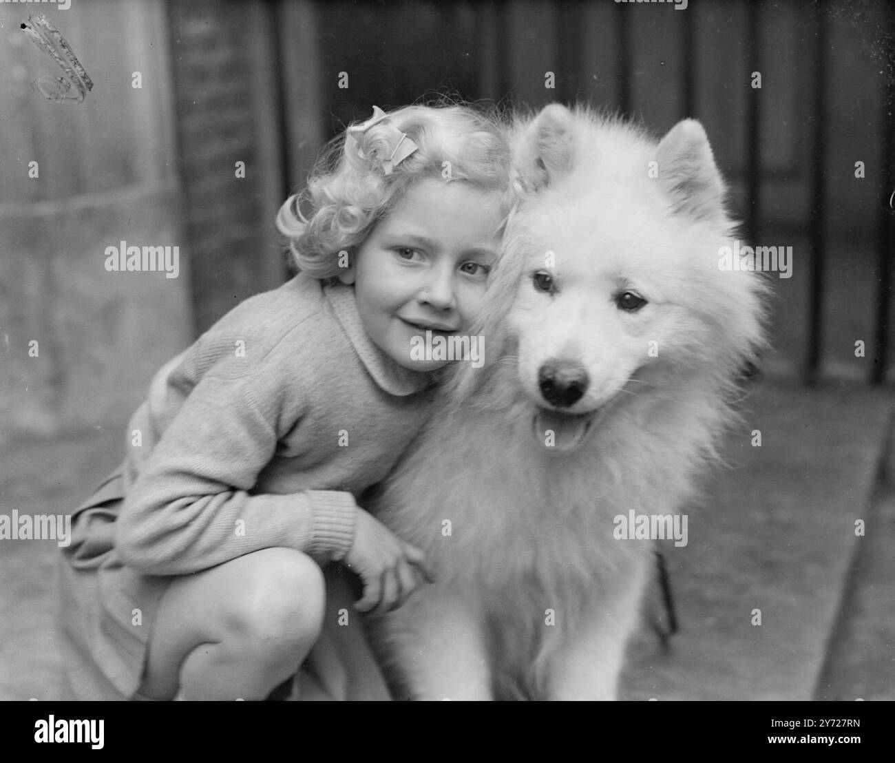 Michaeloff hi-res stock photography and images - Alamy