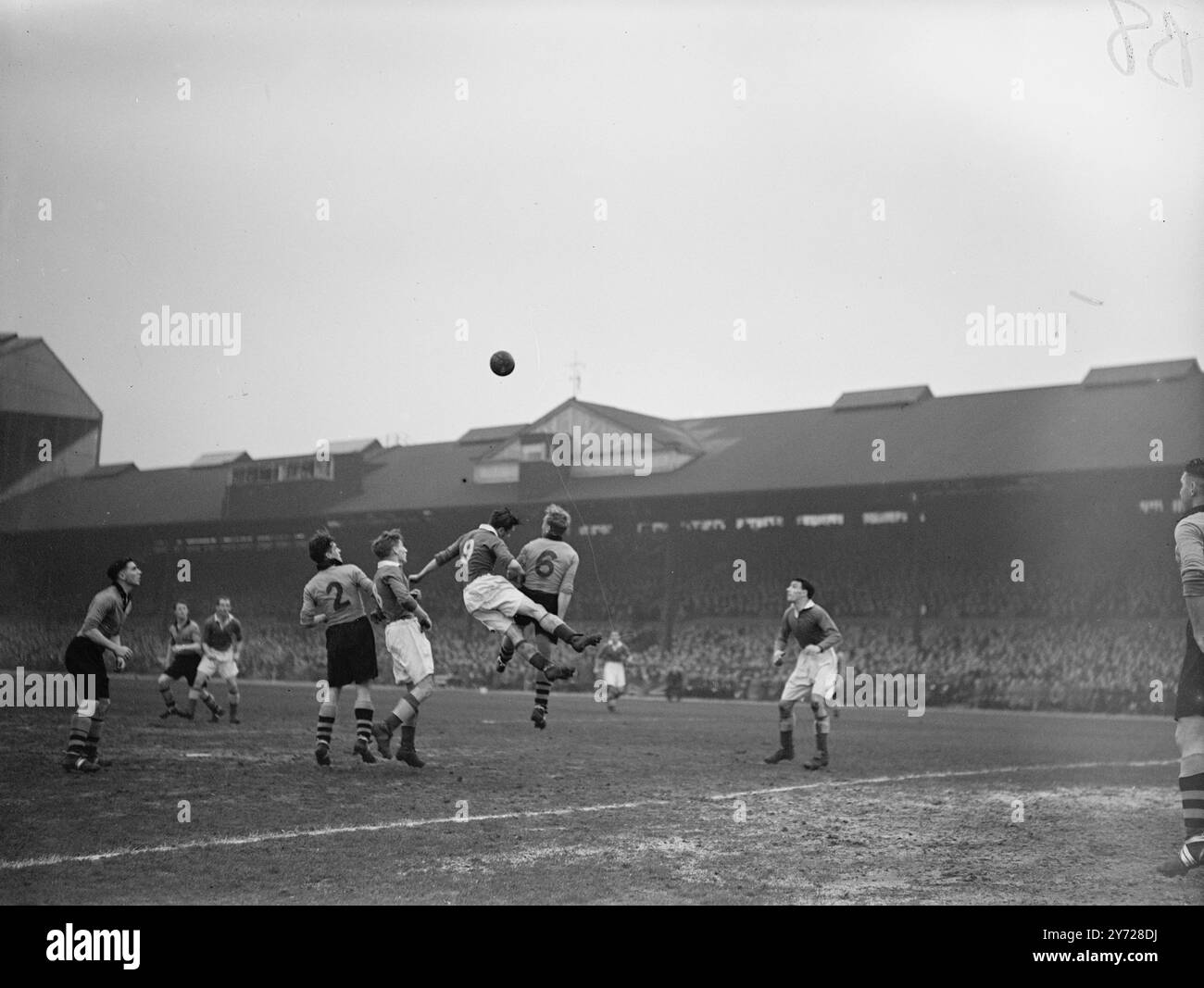 Wolves raid hi-res stock photography and images - Alamy