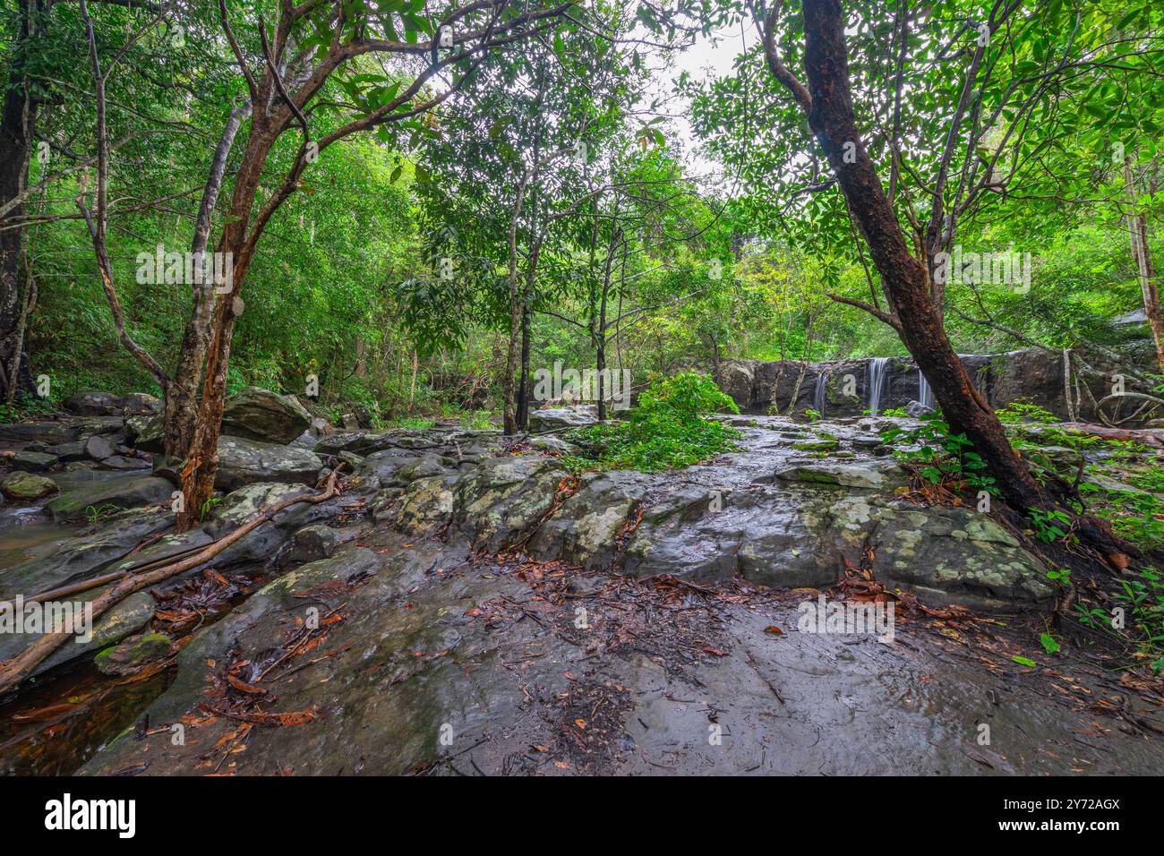 Namtok Than Ngam Waterfall in Udon Thani, Thailand, is a breathtaking ...