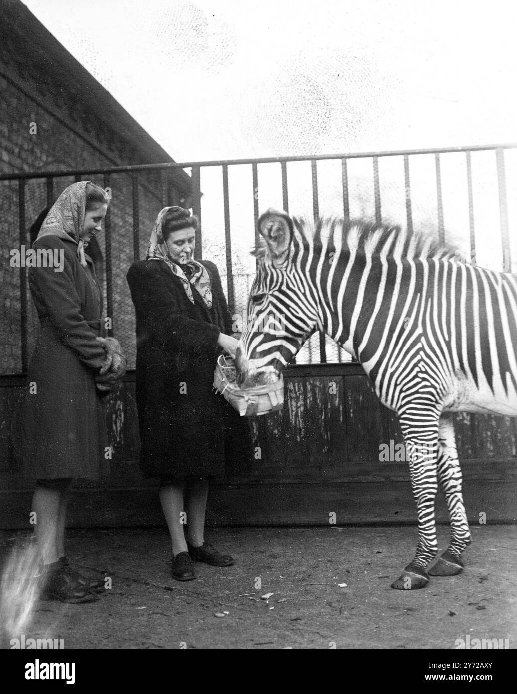 To 29 years Black and White Stock Photos & Images - Alamy