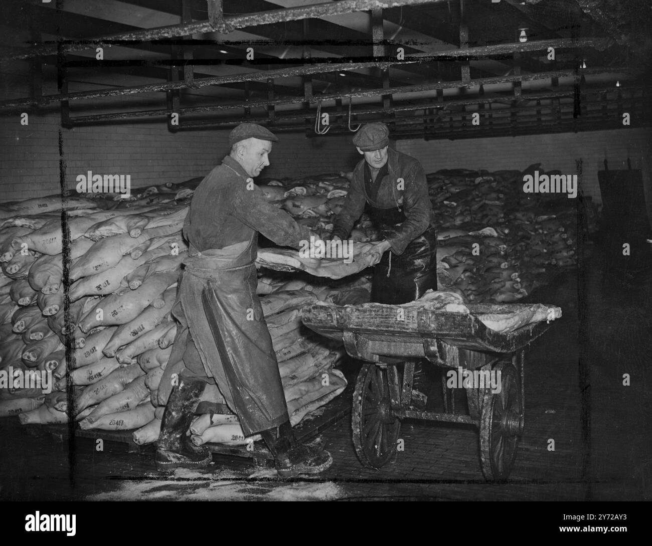 Immersion cooling hi-res stock photography and images - Alamy