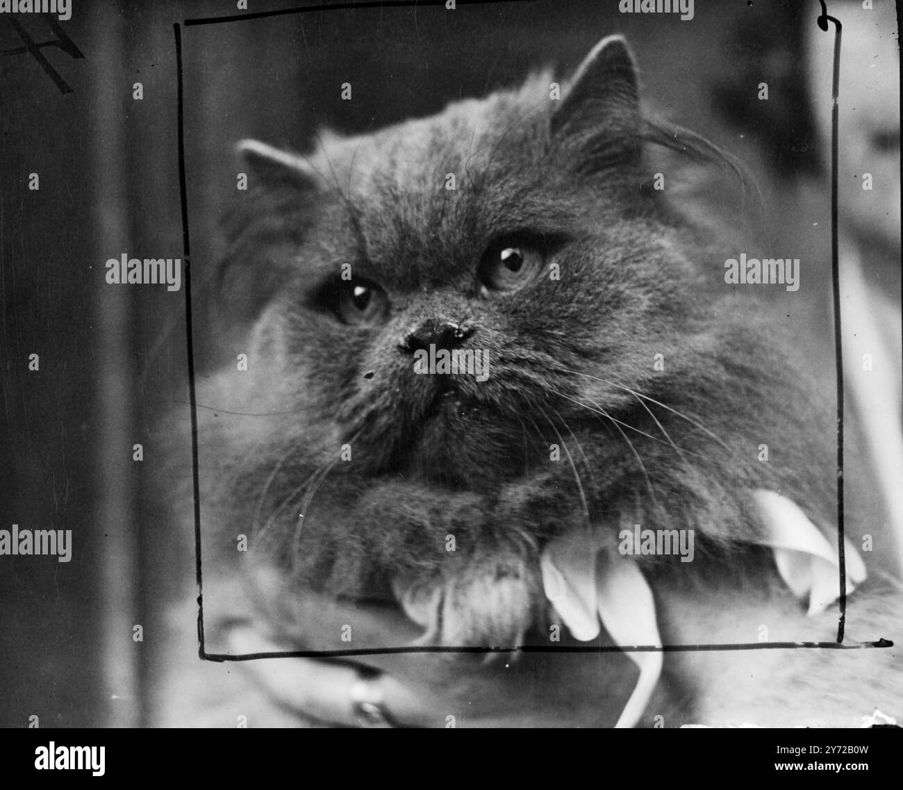 Open bush country Black and White Stock Photos & Images - Alamy