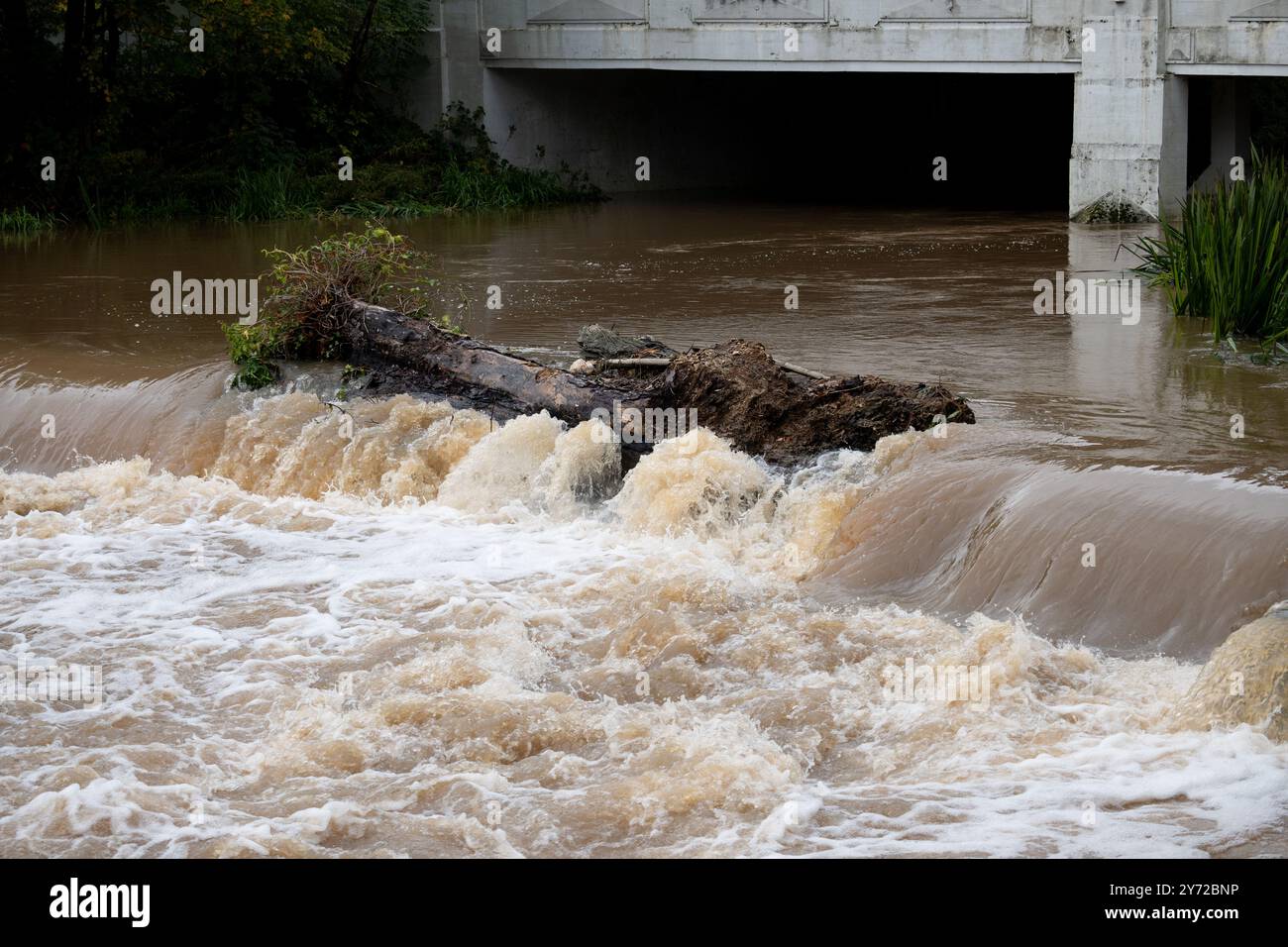 River Leam flood water at Princes Drive weir, Leamington Spa ...
