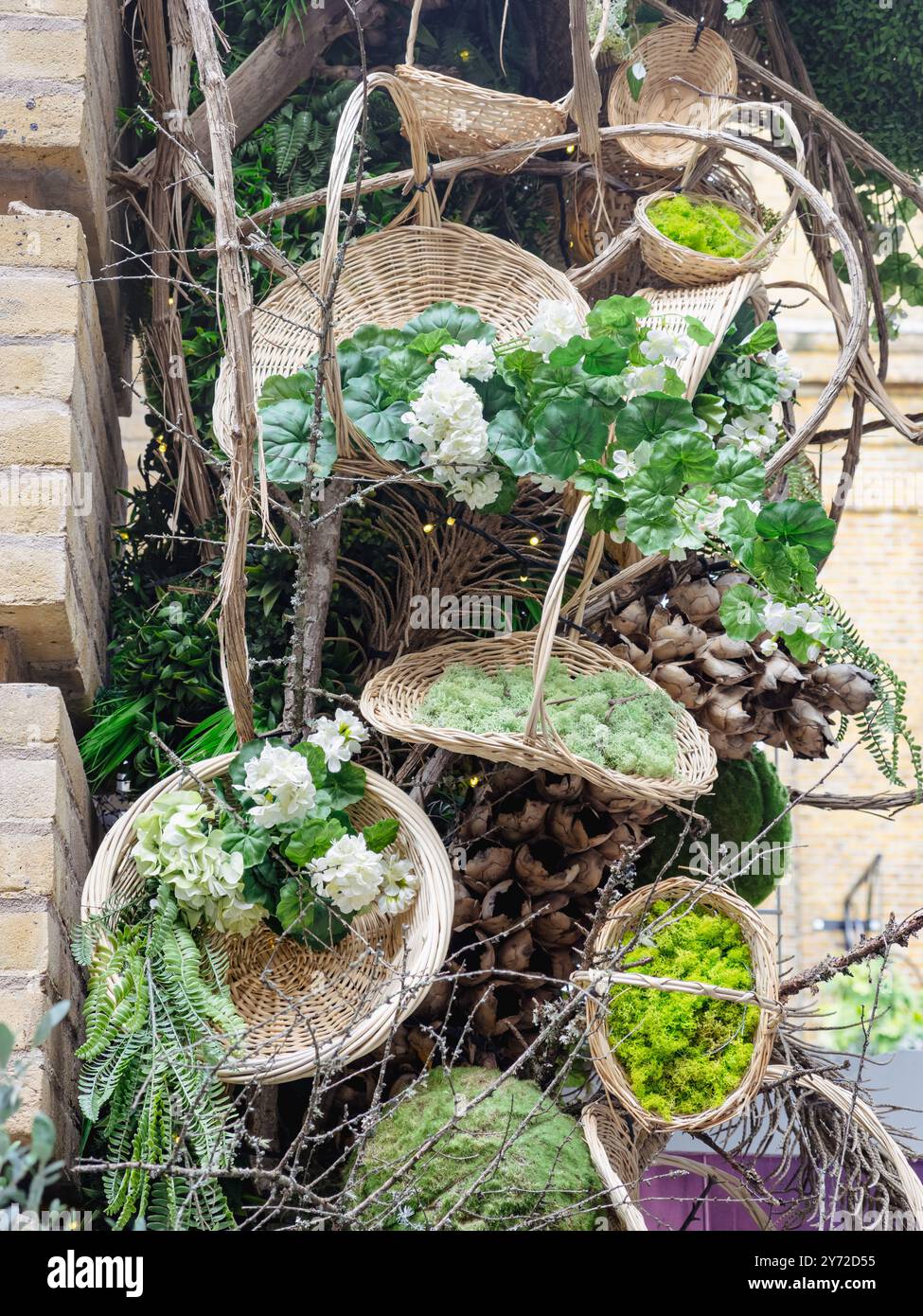 Baskets of plants, display Stock Photo - Alamy