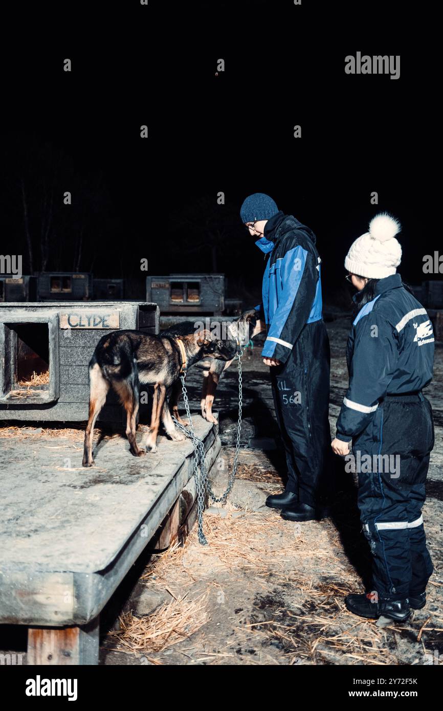 A couple petting husky at night in husky park near Tromso, Norway Stock ...