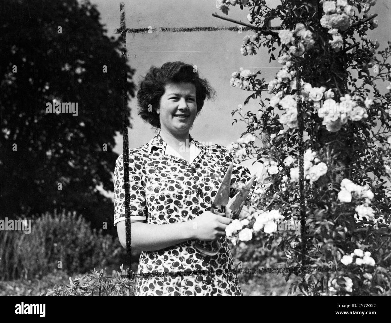 Miss M.S Chissell, of Wimborne, Dorest pictured here helping on her ...