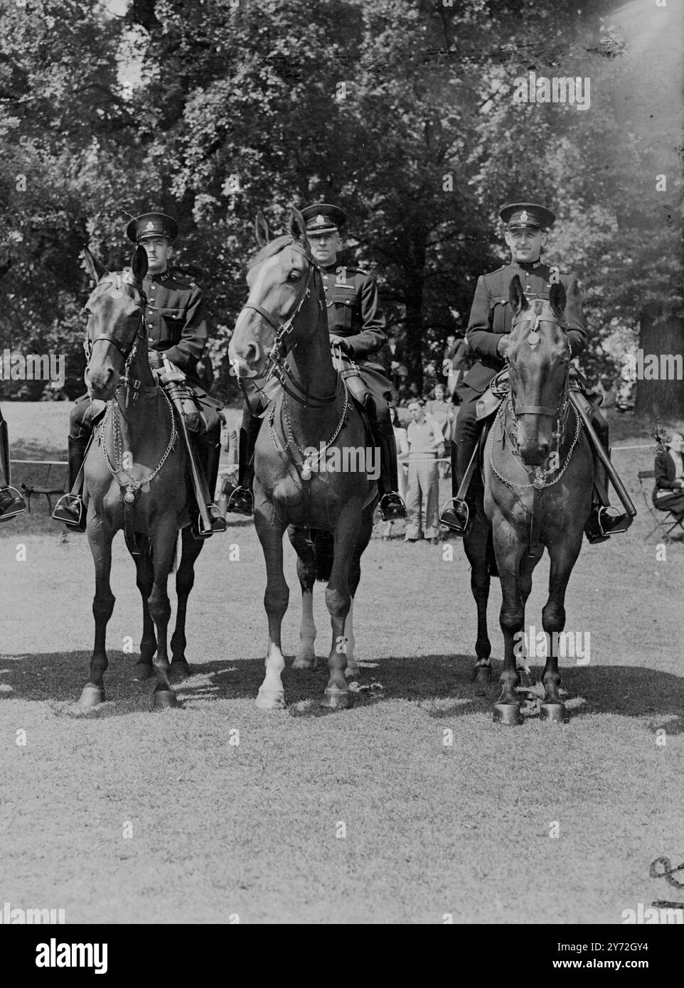 Three Metropolitan Police horses who served throughout the London blitz ...