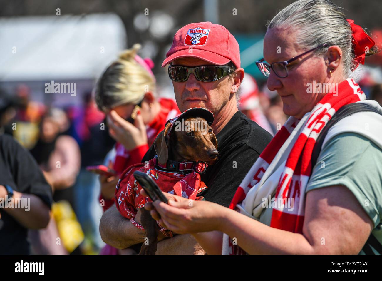 Sydney Swans supporters are seen with a Dachshund wearing Sydney Swans ...