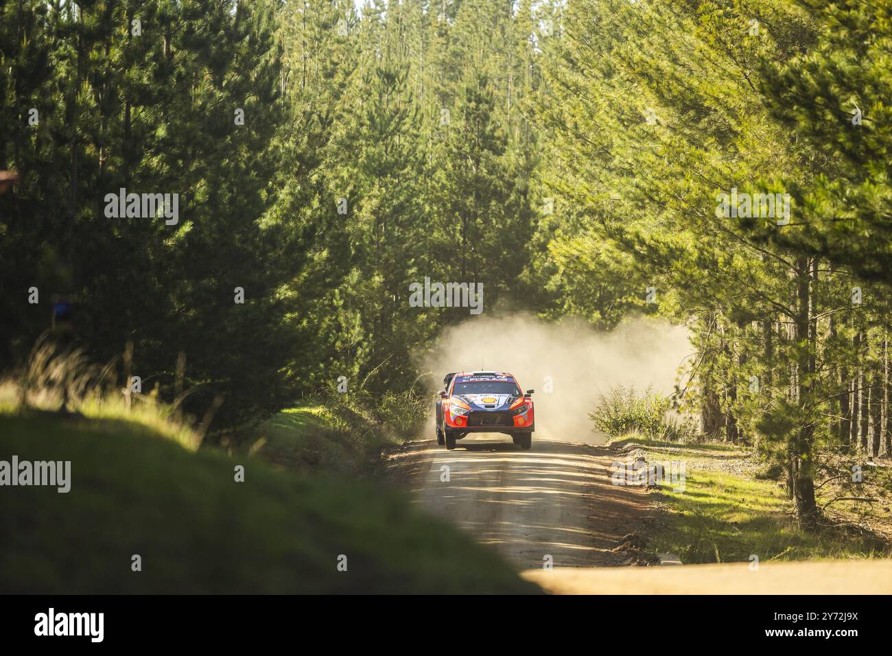 08 TANAK Ott, JARVEOJA Martin, Hyundai I20 Rally1, action during the ...