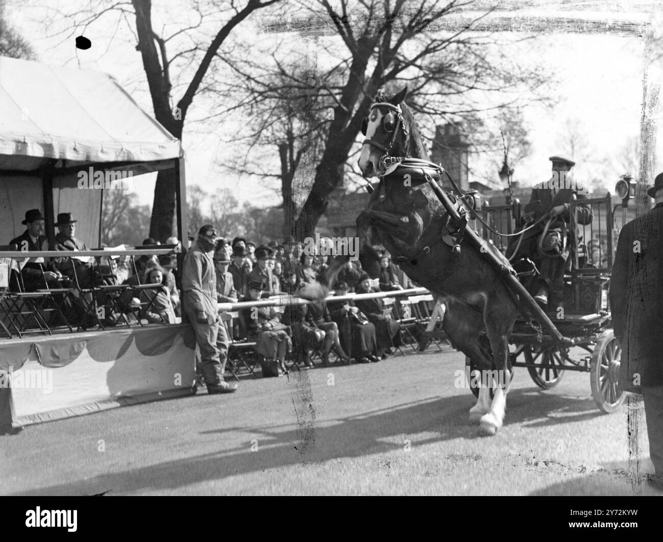 One of the entries in the Easter Monday parade of London van horses ...