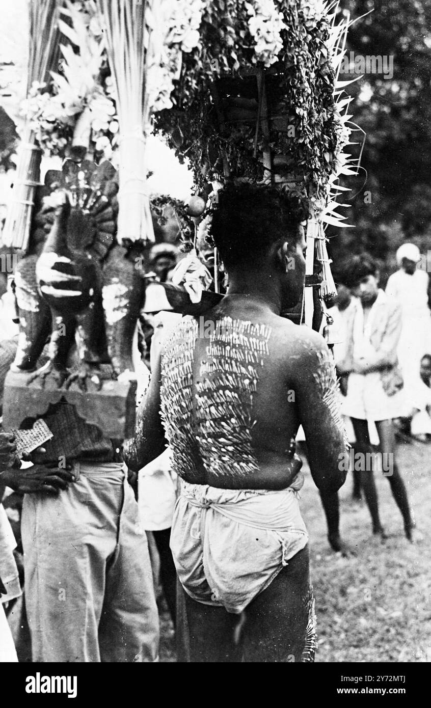 [original caption] - - The back of a man carrying a Cavadee. Note the ...