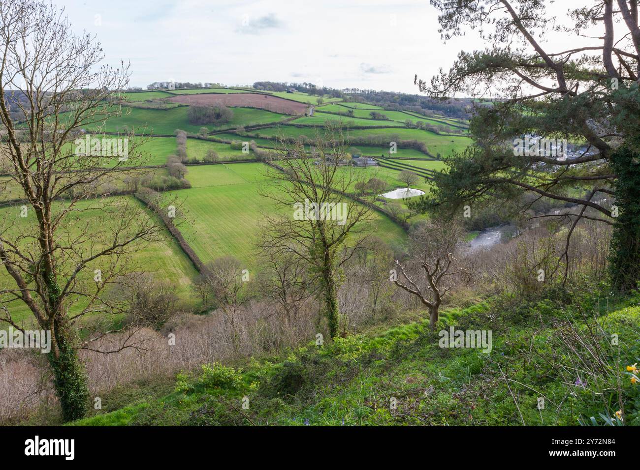 Countryside in the Torridge valley, from Great Torrington Common, Devon ...