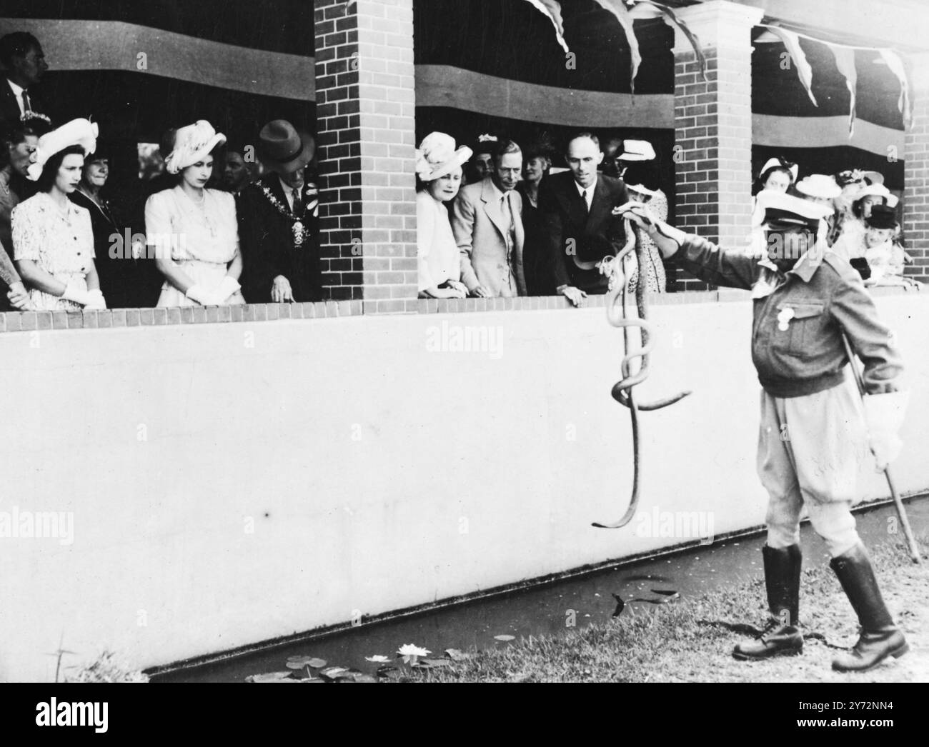 The King and Queen visit Port Elizabeth Snake Park. Live Cobras ...