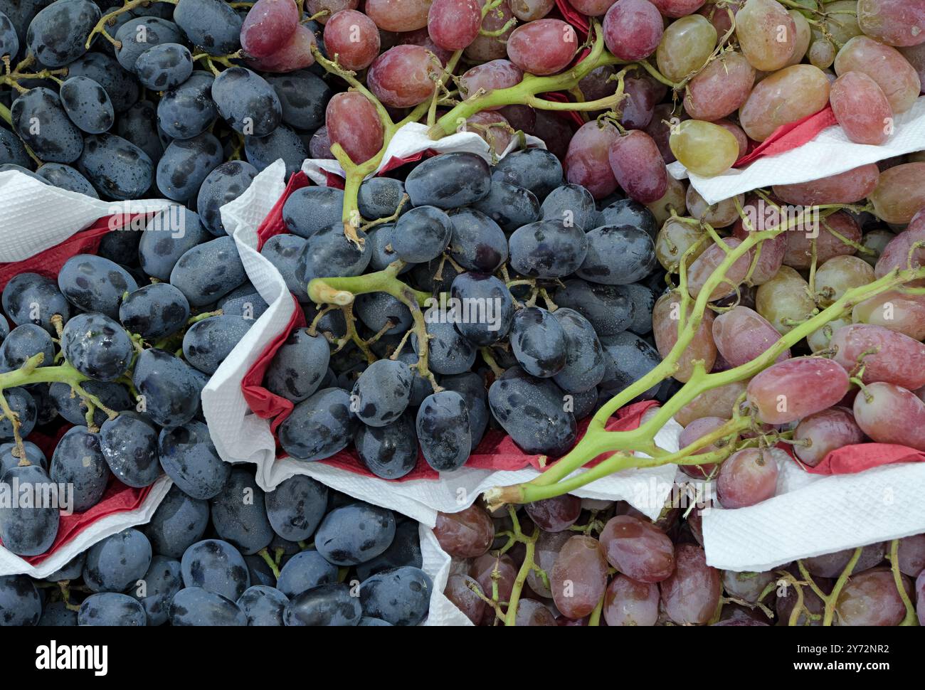 Bunches of grapes of different varieties on a store counter, close up ...