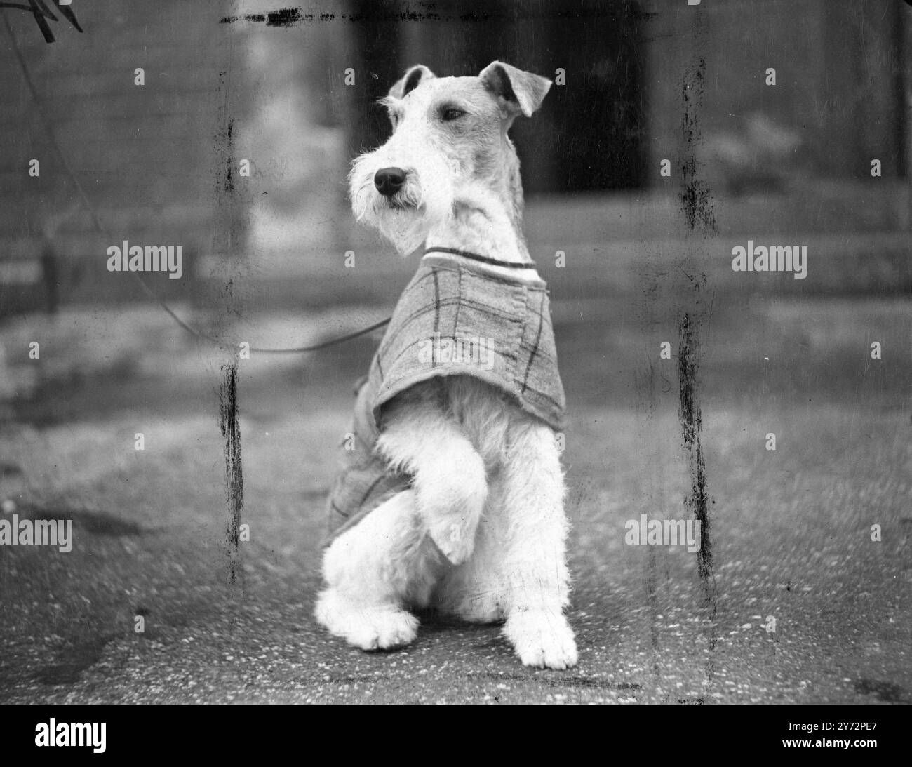 Retlaw Black and White Stock Photos & Images - Alamy