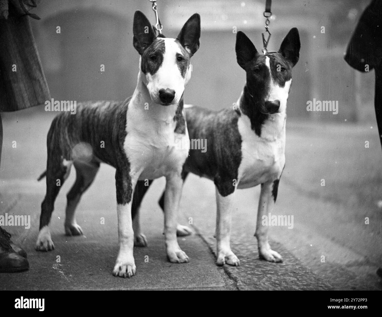 Sister ray london Black and White Stock Photos & Images - Alamy