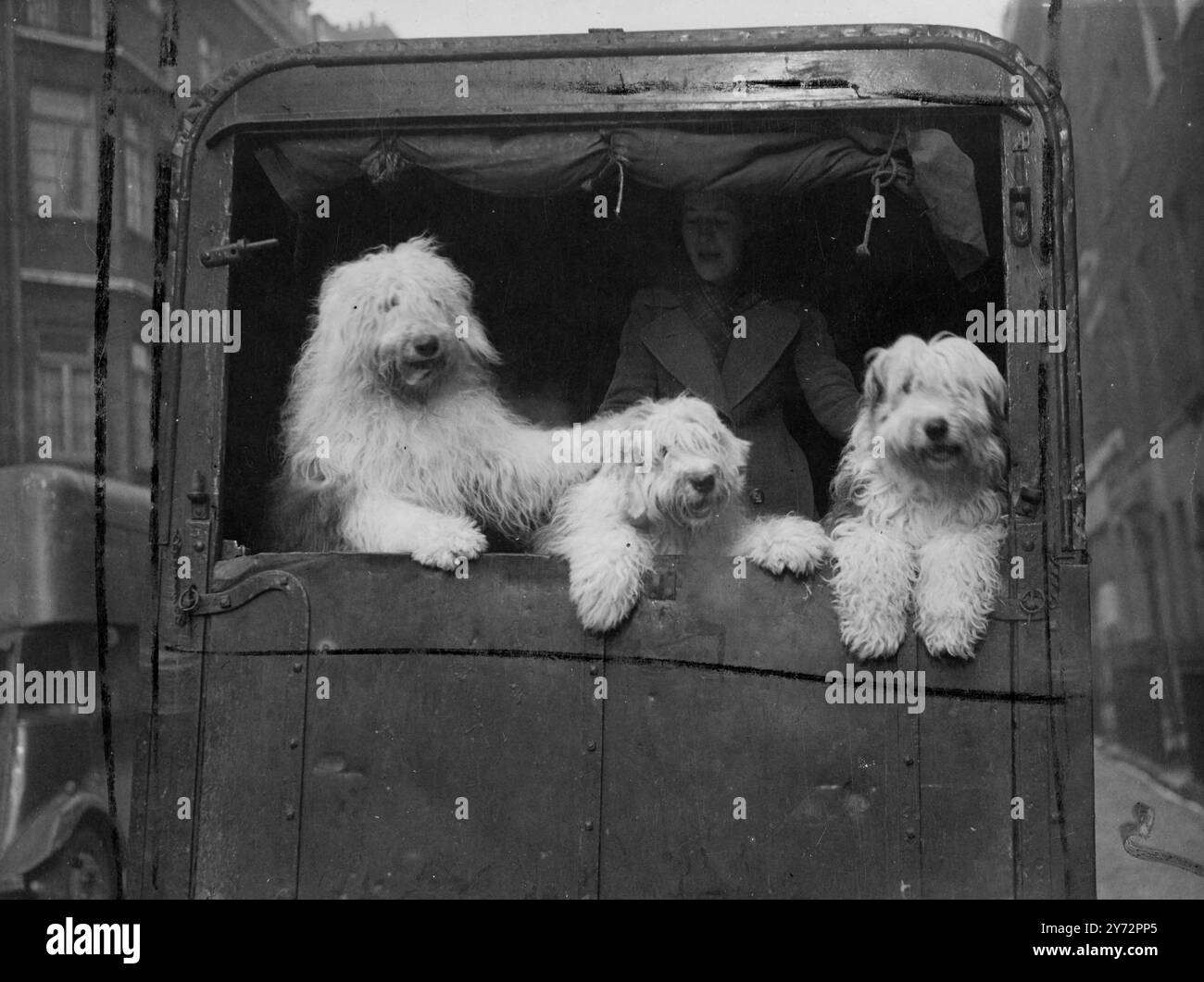 White cargo. The trio of good lookers arrives by lorry at Holy Trinity ...