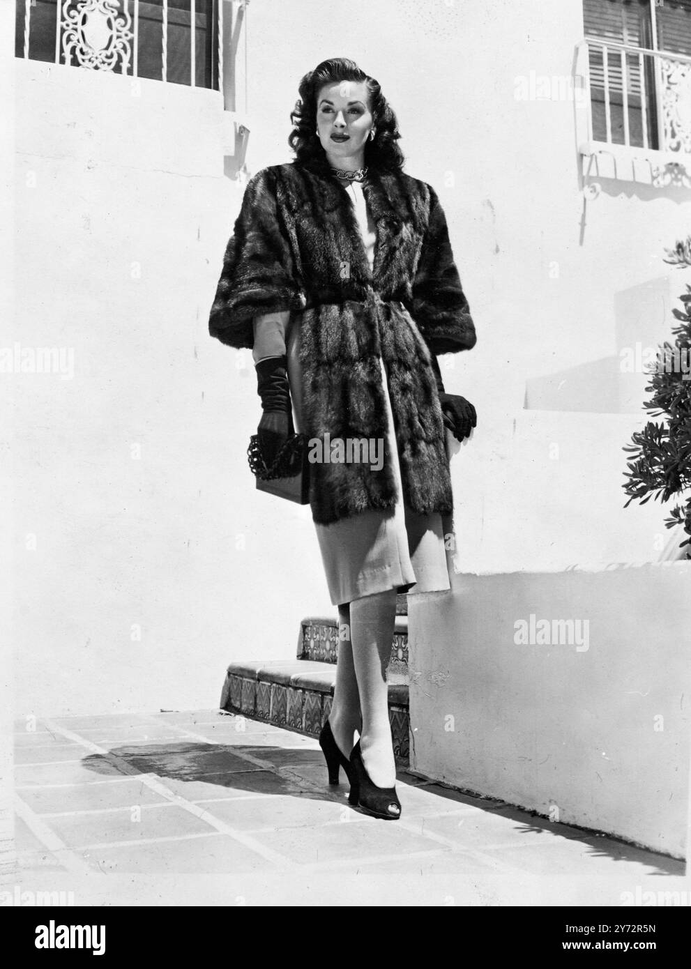 Marguerite chapman hi-res stock photography and images - Alamy