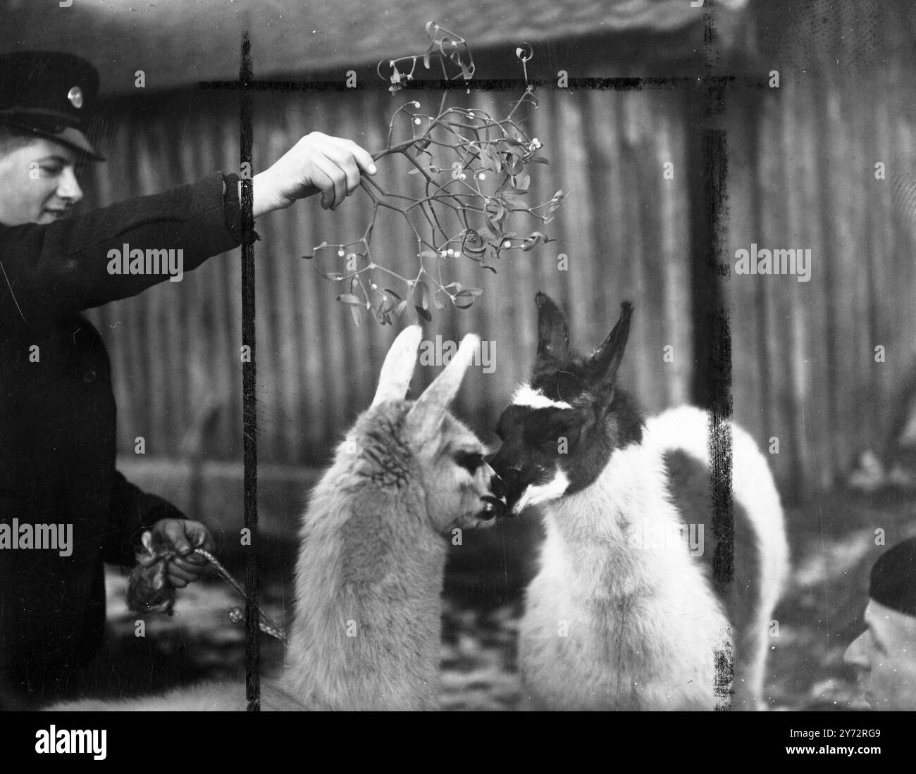 Baby america 1946 Black and White Stock Photos & Images - Alamy