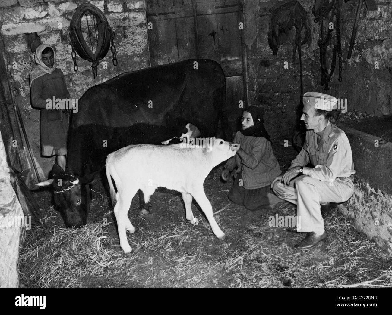 Insemination Black and White Stock Photos & Images - Alamy