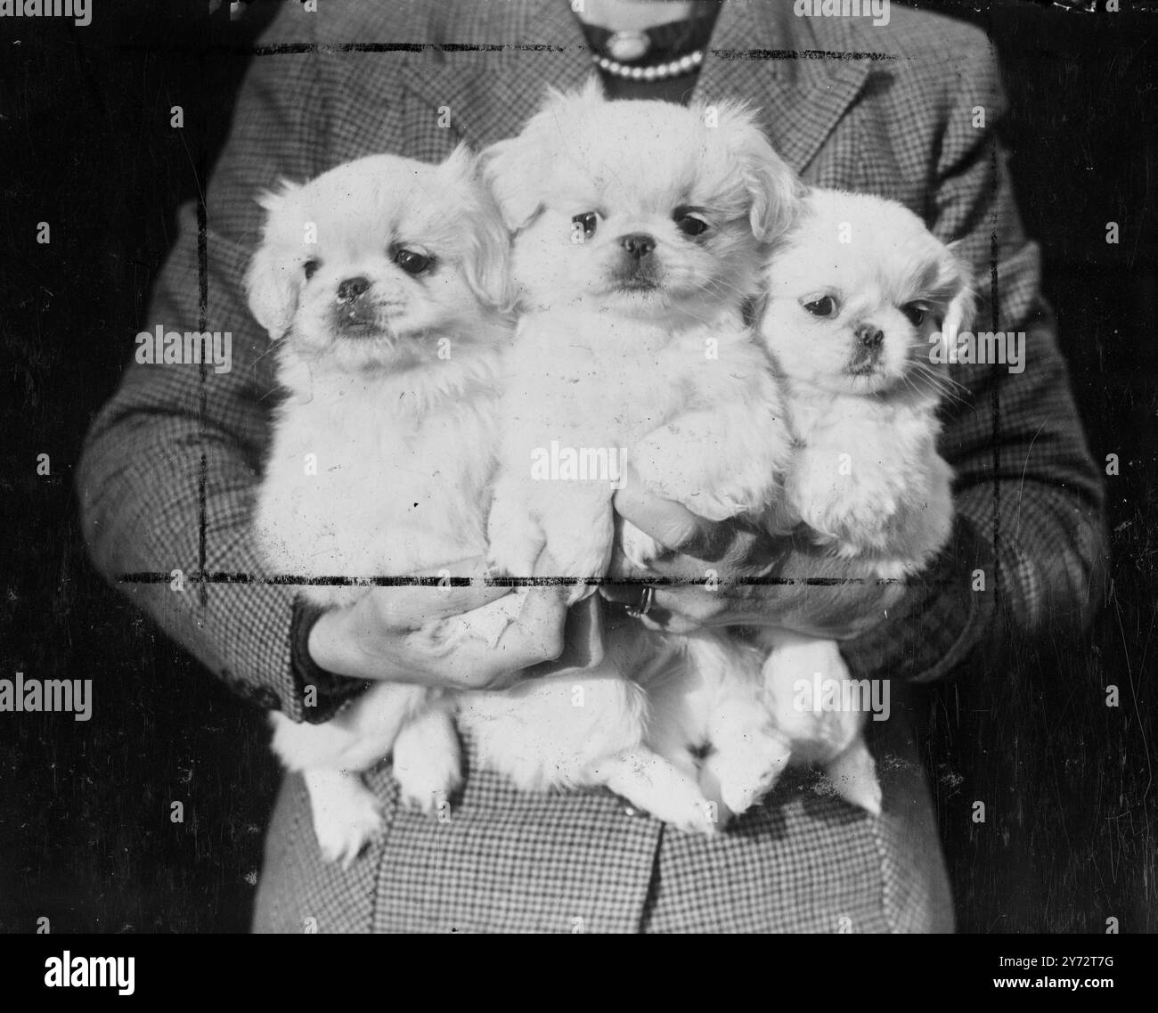 Winsom winsom hi-res stock photography and images - Alamy