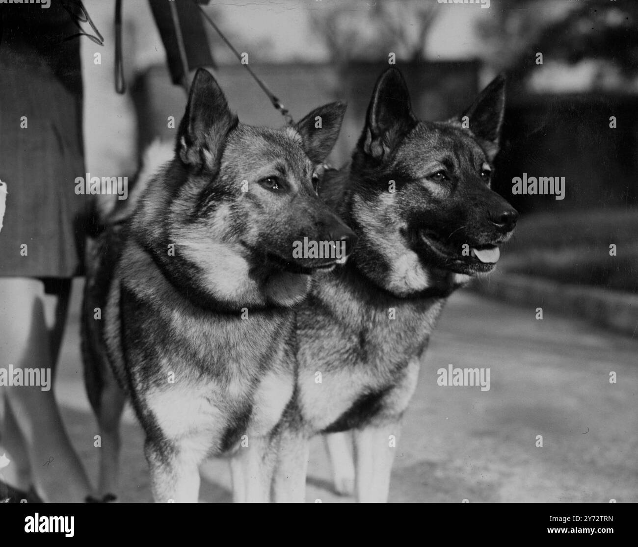 Corporation baths hi-res stock photography and images - Alamy