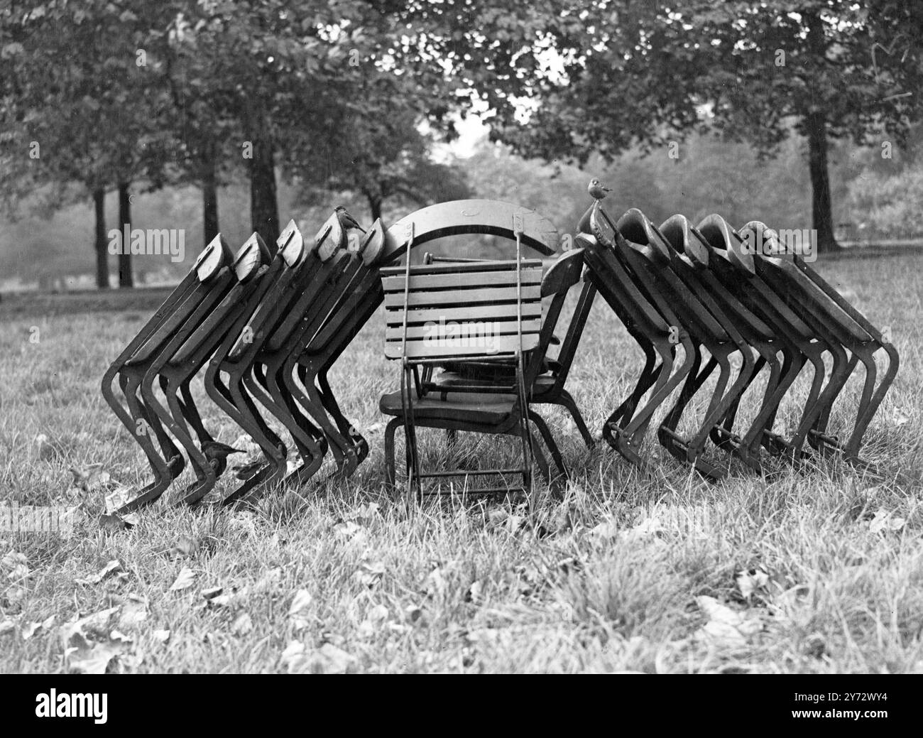 The open-air seasons in London's Parks is now nearing its end, and the ...