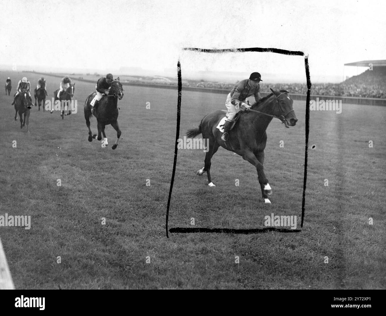 Kings colt hi-res stock photography and images - Alamy