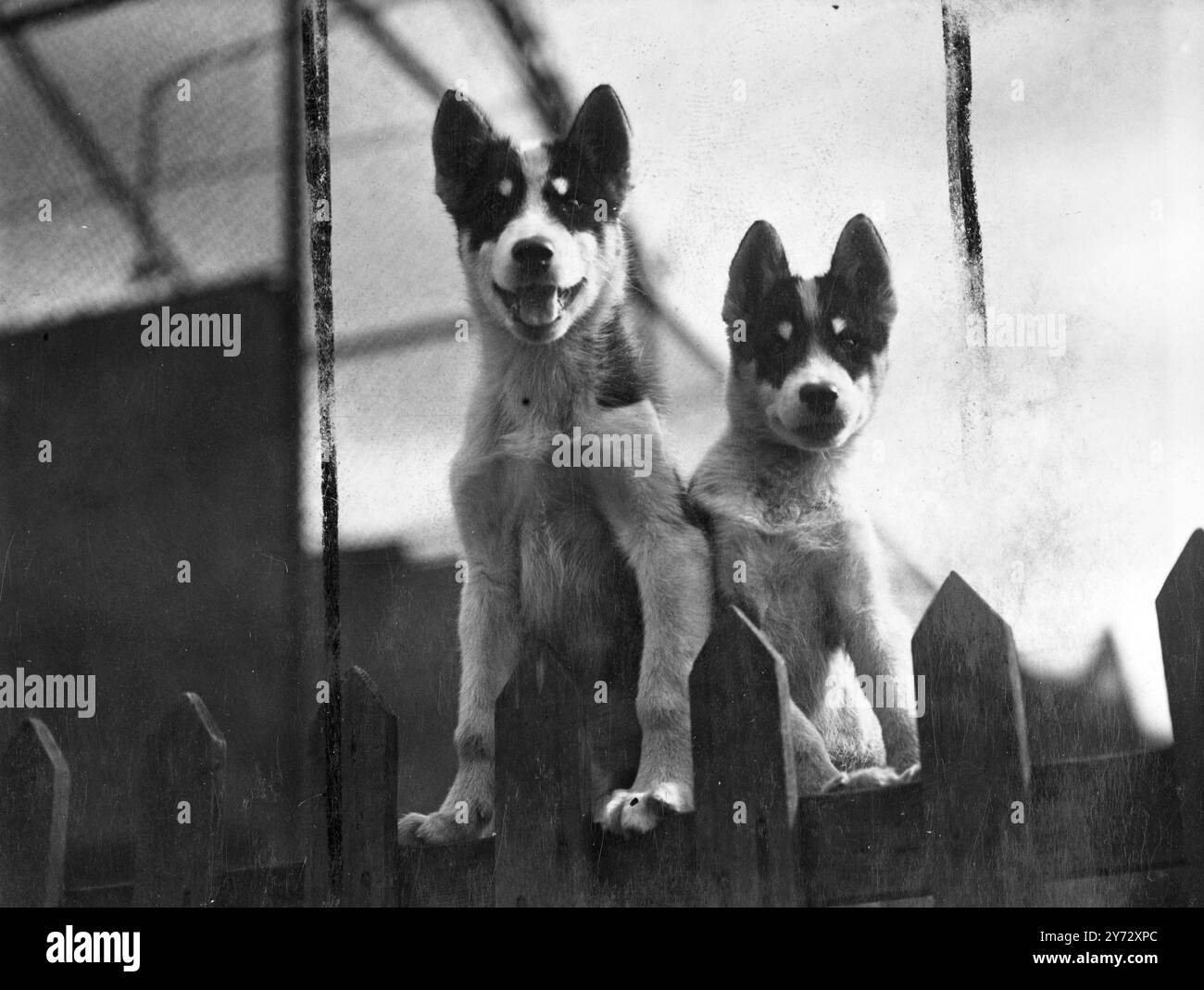 Sharp black bill Black and White Stock Photos & Images - Alamy