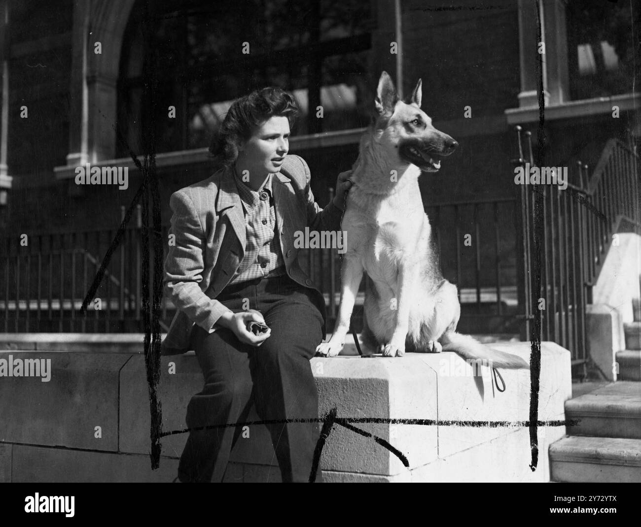 The associated sheep, police and army dog society held its 25th dog ...