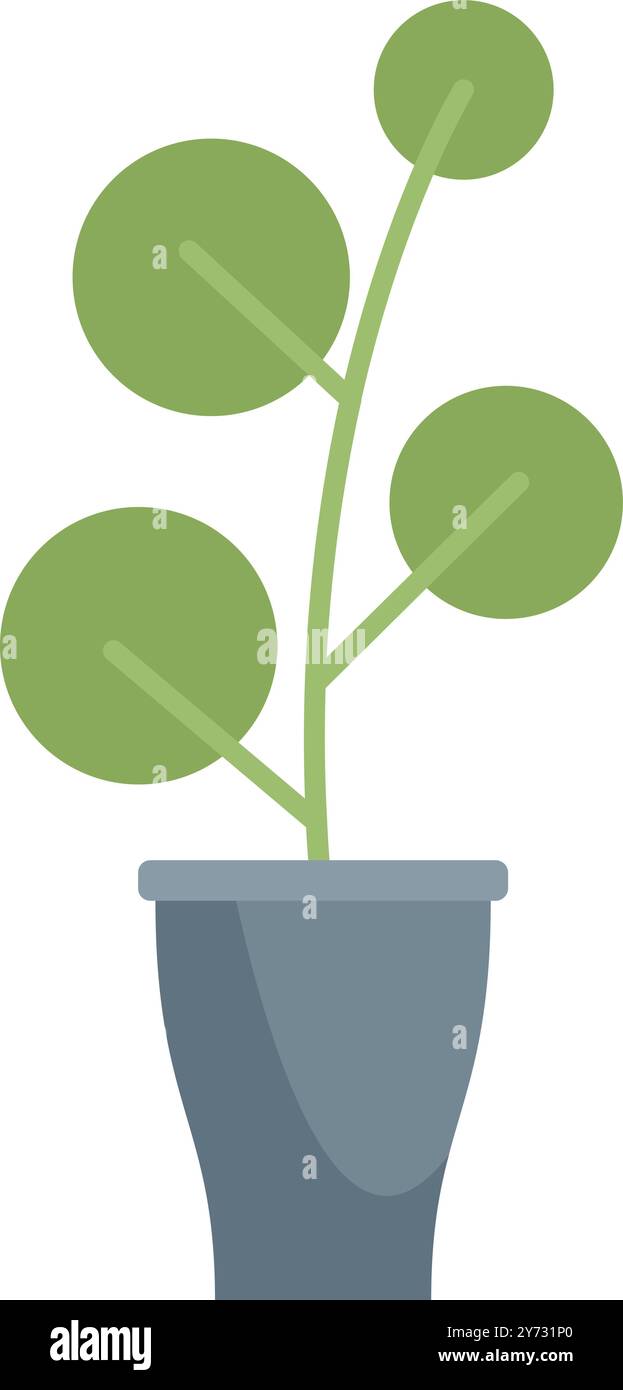 Minimalist vector illustration featuring a small pilea peperomioides ...