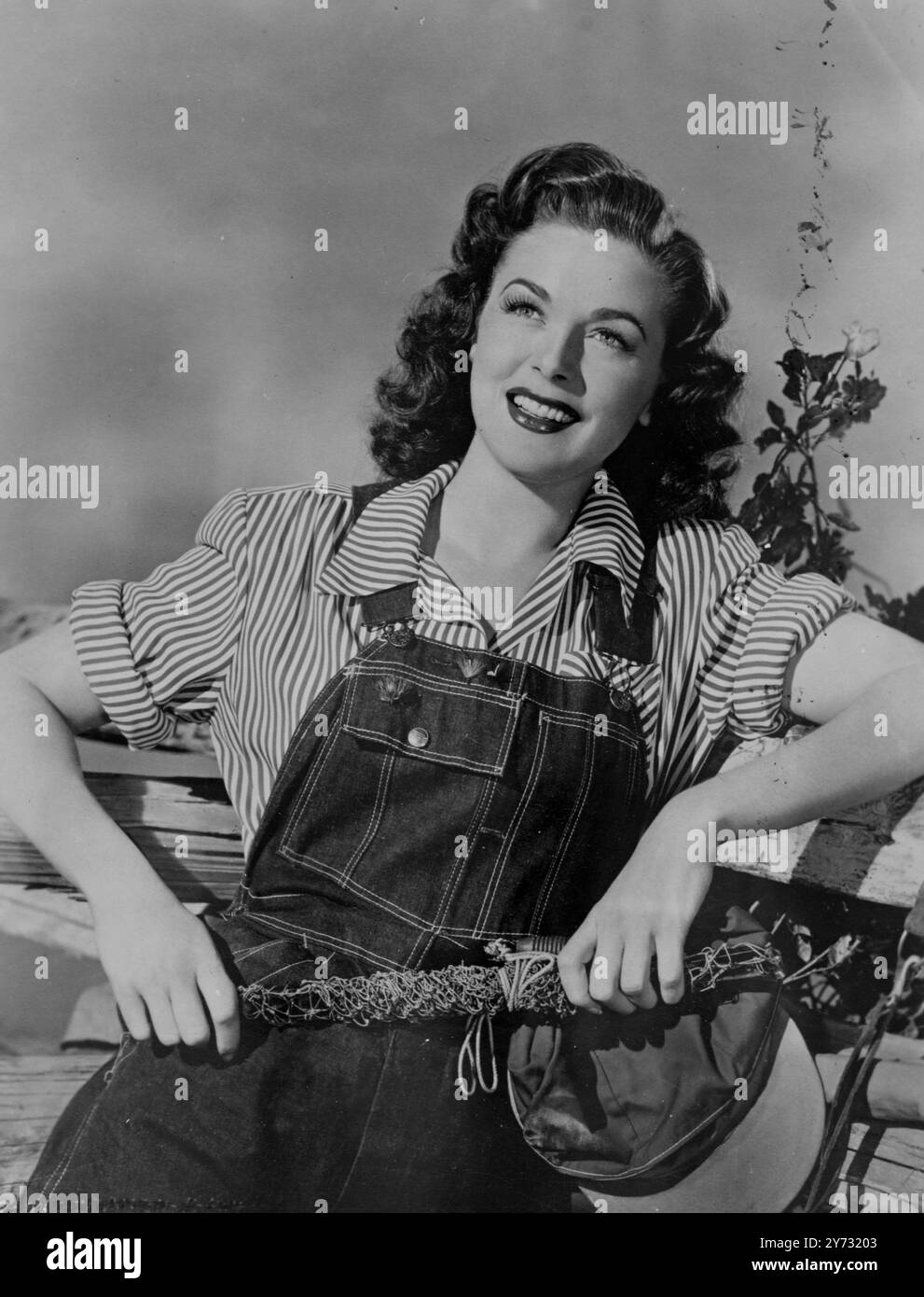 Marguerite chapman hi-res stock photography and images - Alamy