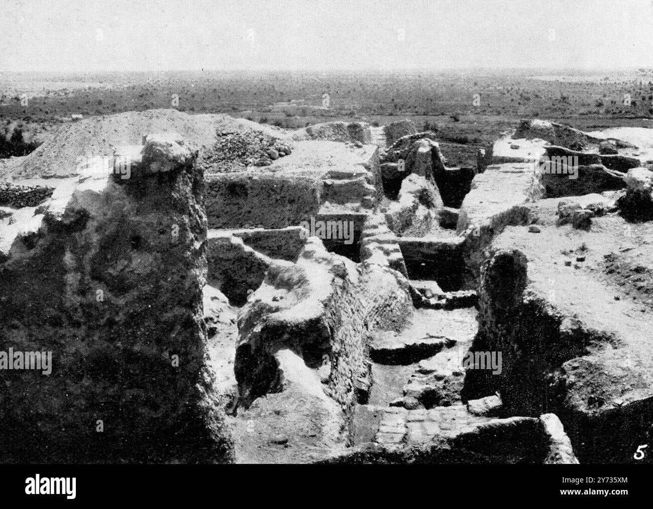 The Walls of Jericho unearthed : discoveries of the city that fell ...