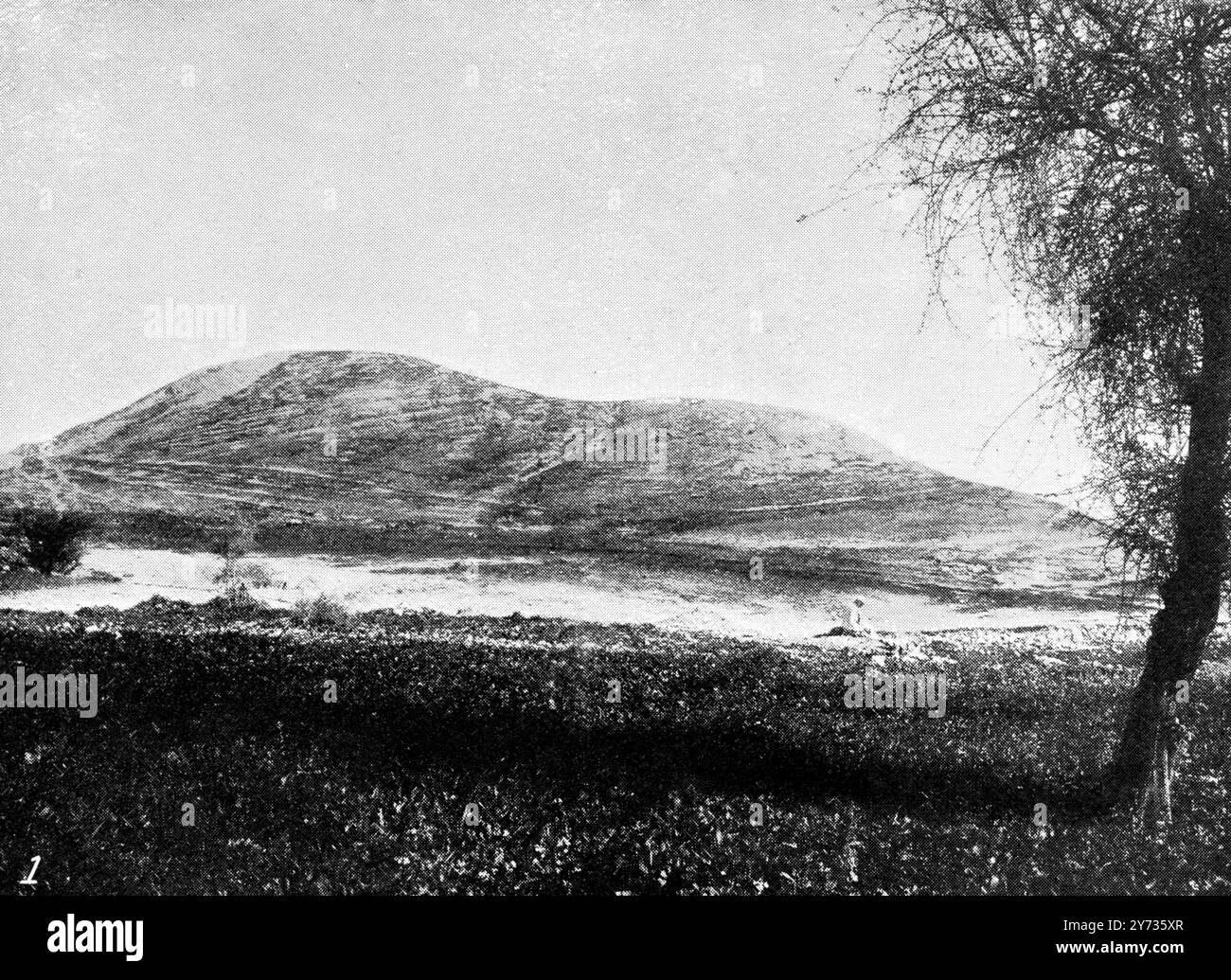 The Walls of Jericho unearthed : discoveries of the city that fell ...