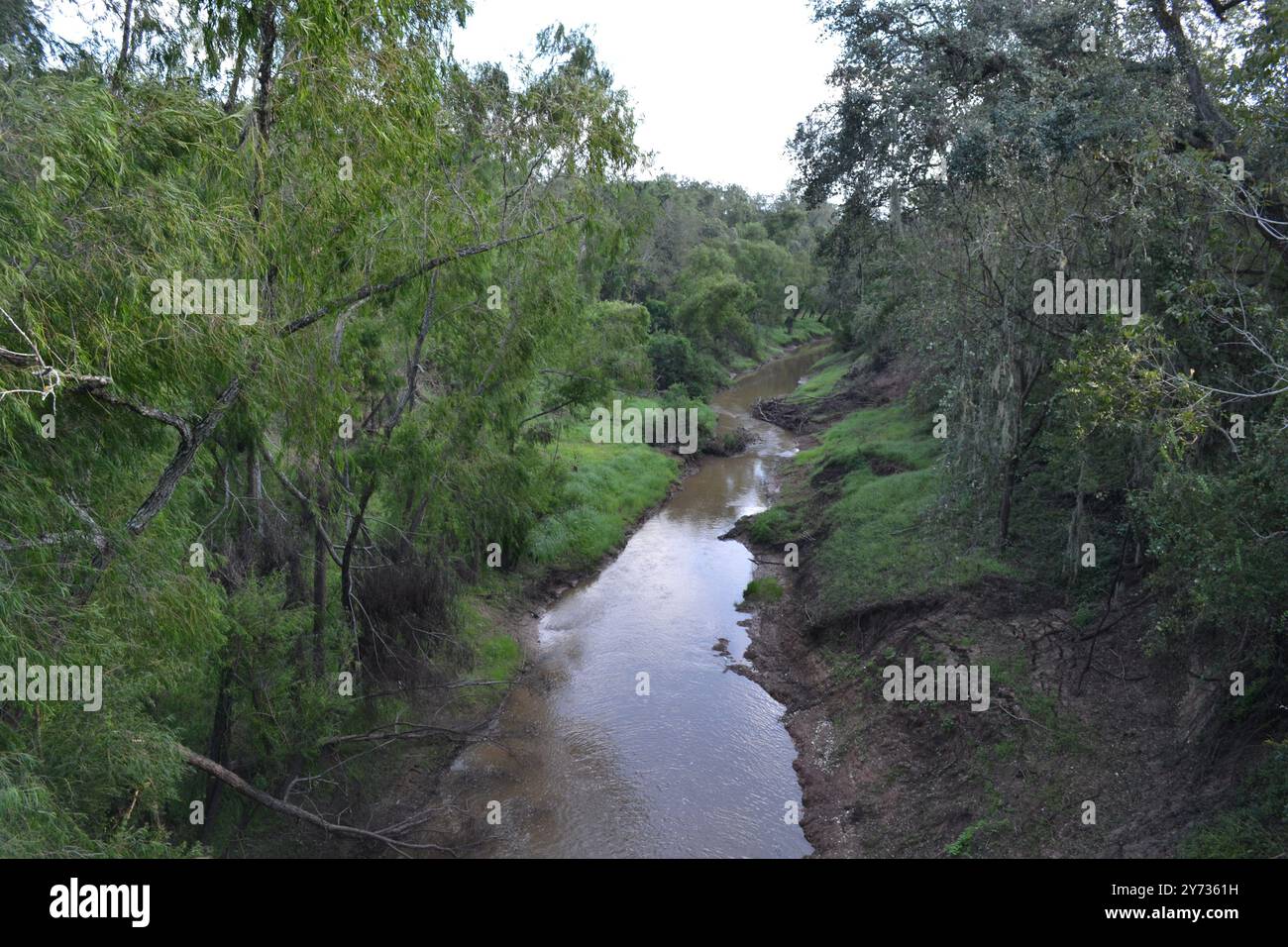nature trail in Brazos Bend State Park, Needville, Texas Stock Photo ...
