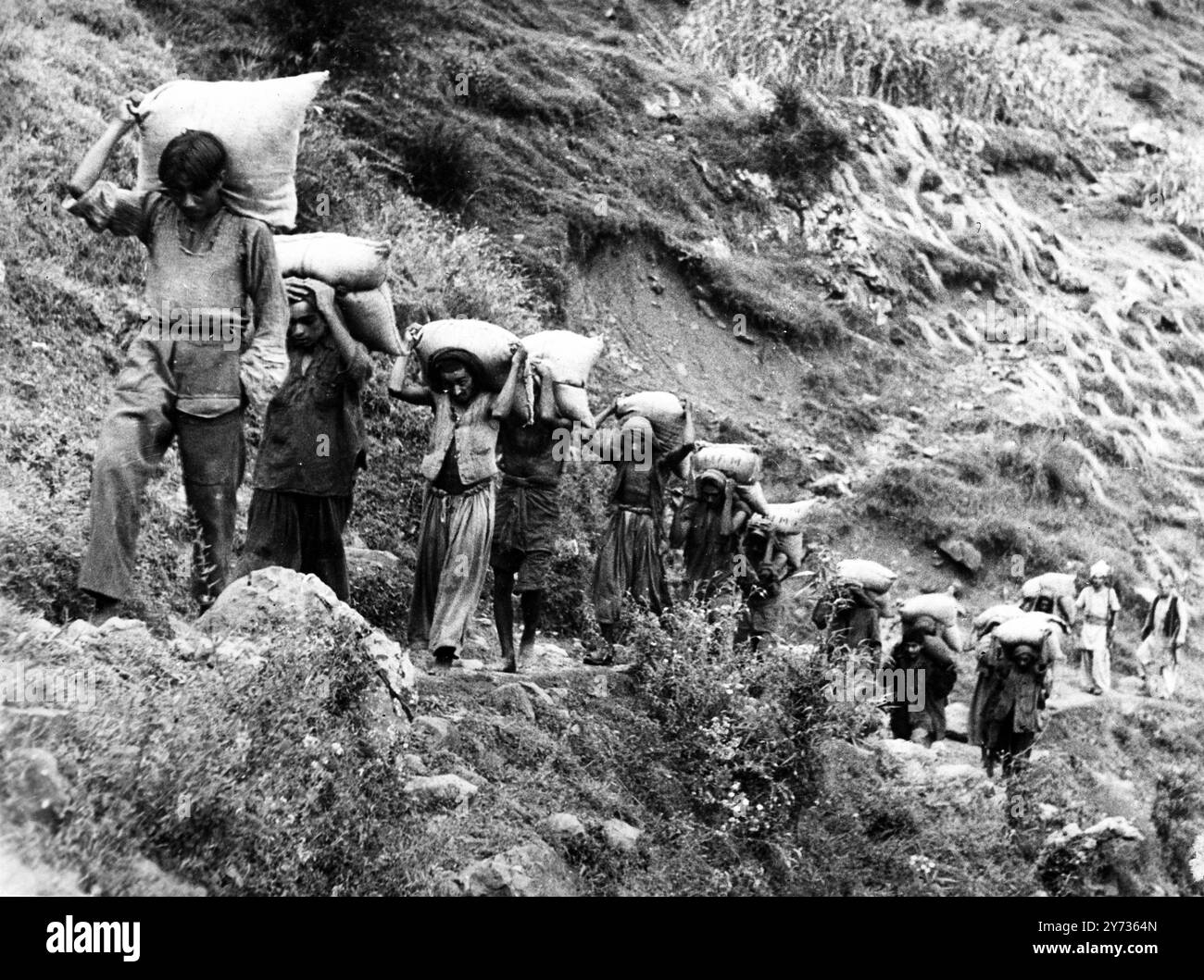 Guerilla warfare hi-res stock photography and images - Alamy