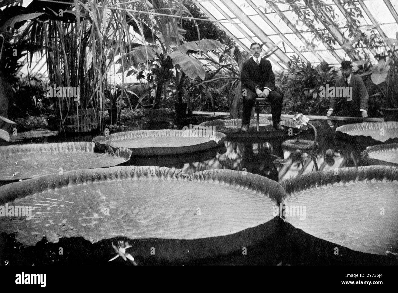 A leaf about seven feet in diameter bearing a man without sinking ...