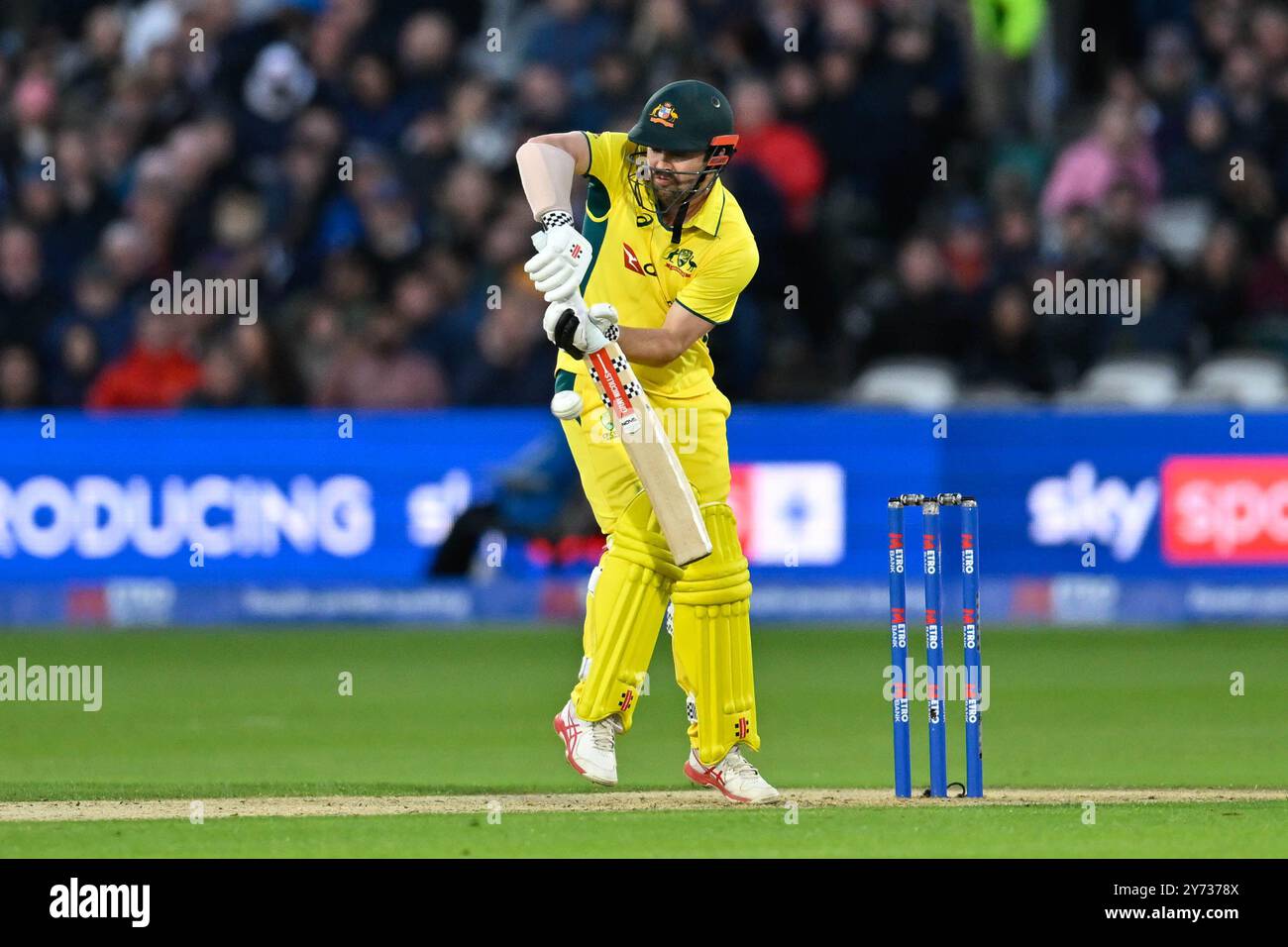 Travis head batting 2024 hi-res stock photography and images - Alamy