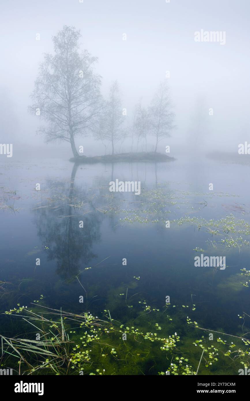 Plateau des Grilloux, Thousand Ponds Plateau (Plateau des Mille etangs ...