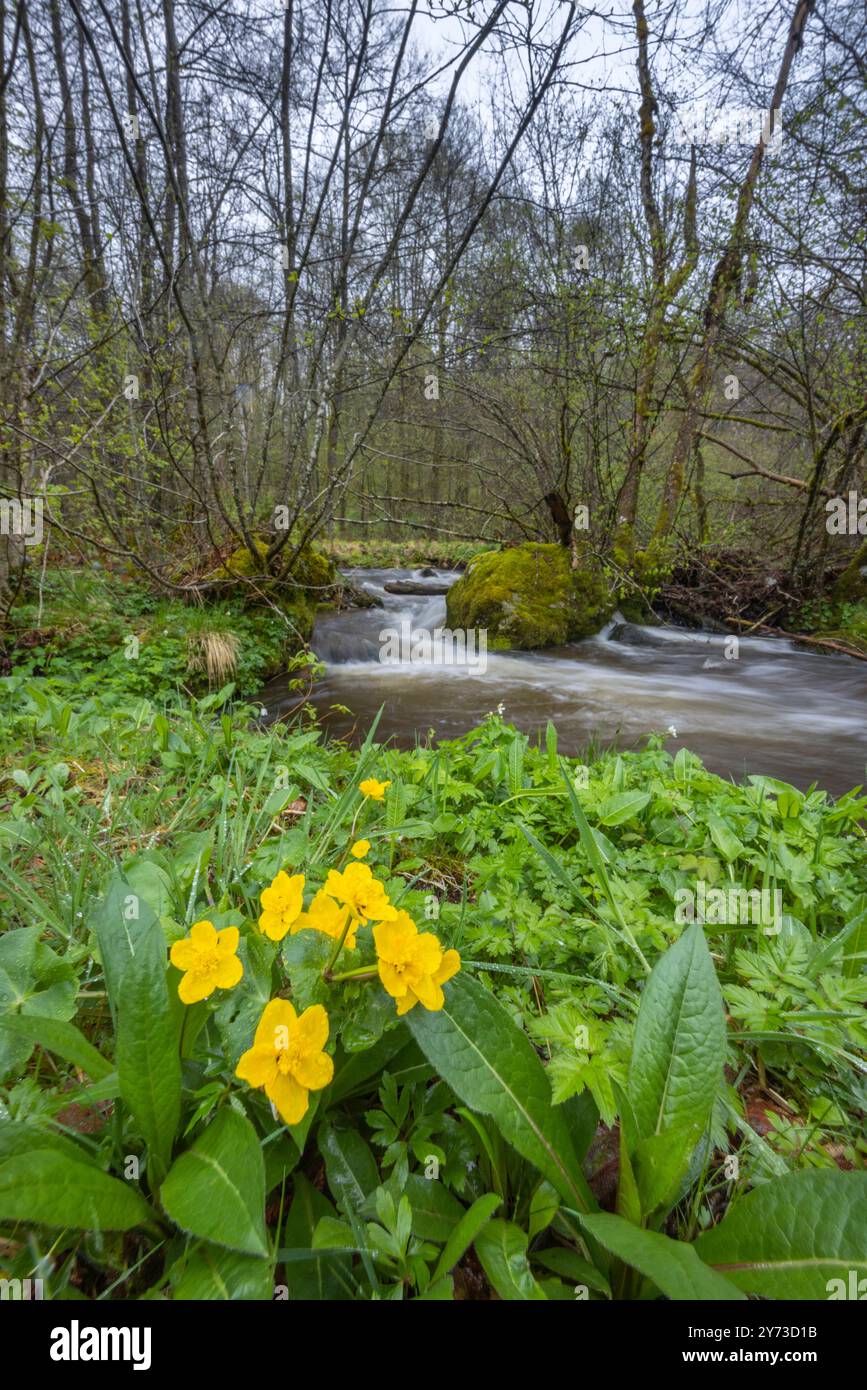 Plateau des Grilloux, Thousand Ponds Plateau (Plateau des Mille etangs ...
