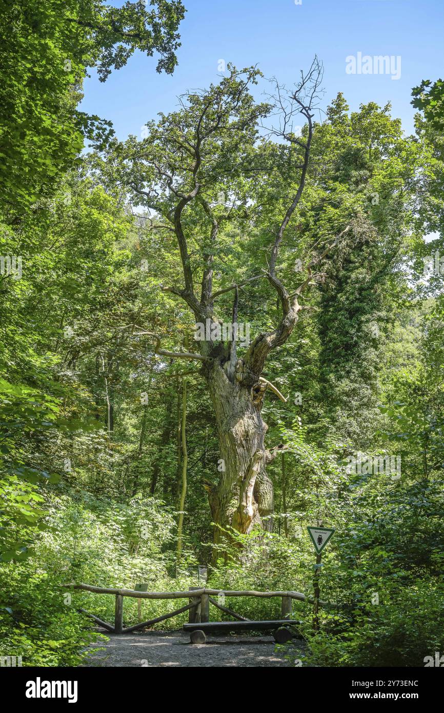 Dicke marie berlin hi-res stock photography and images - Alamy