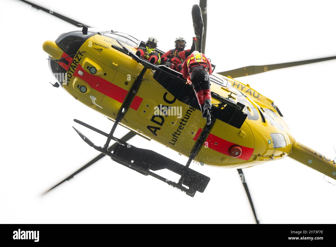 Live training Cut Out Stock Images & Pictures - Alamy