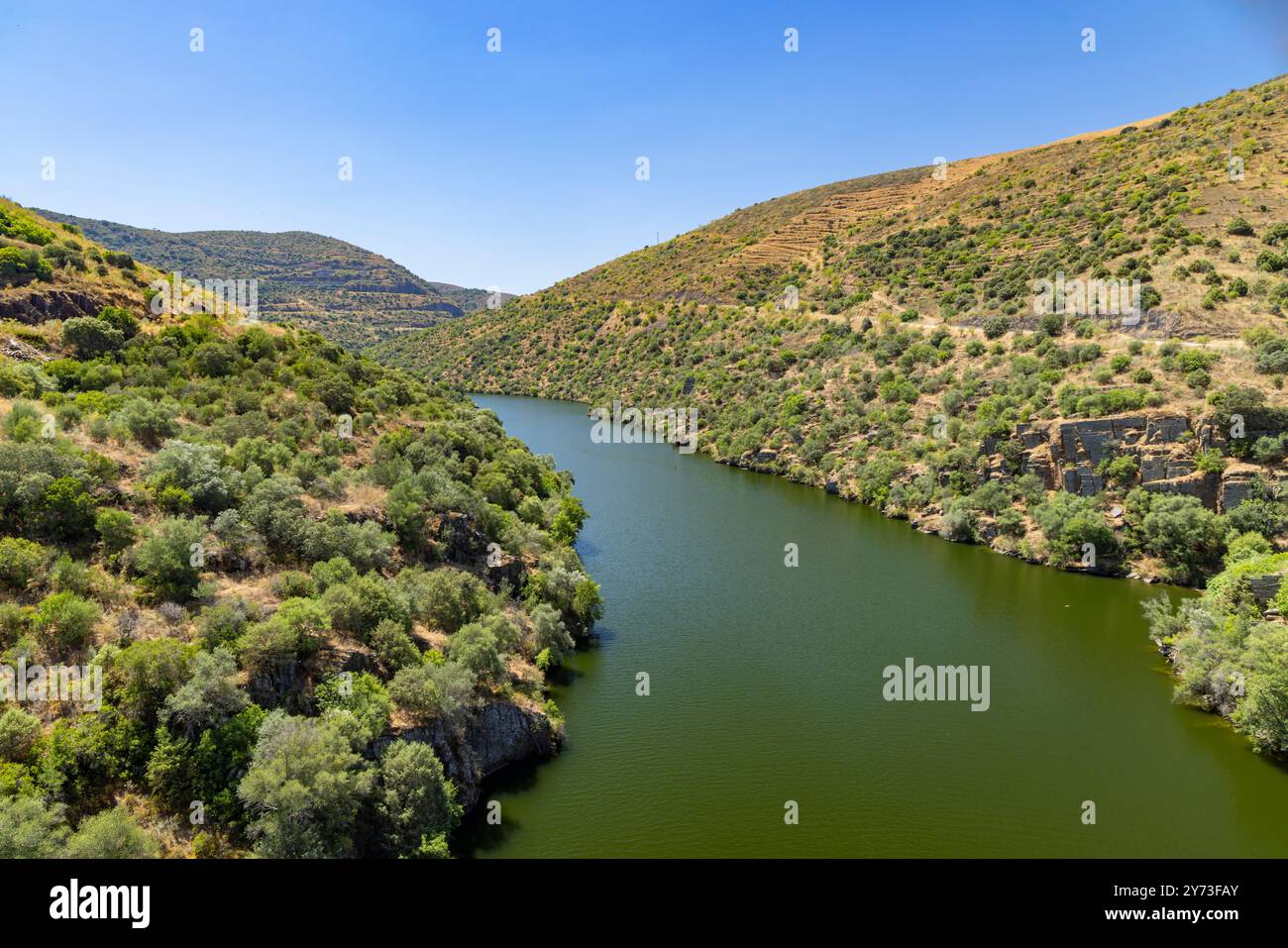 Parque Arqueologico Vale do Coa (Coa valley), UNESCO site, paleolithic ...